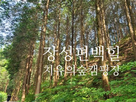 아이들과 캠핑 장성 편백힐 치유의숲 캠핑장 네이버 블로그