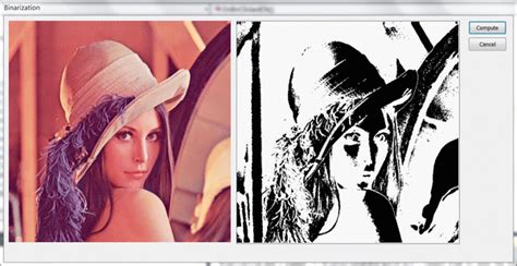 how to do simple image binarization codeproject