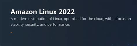 Amazon Linux 2022 Performs Well But Intels Clear Linux Continues