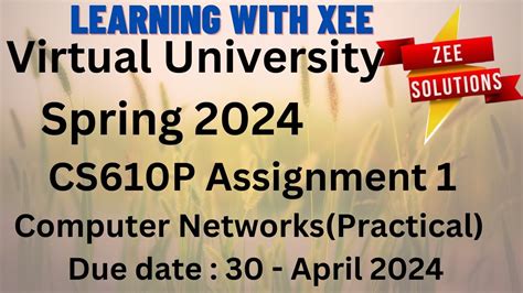 Cs610p Computer Networks Practical Assignment 1 Spring 2024 Virtual University Of Pakistan
