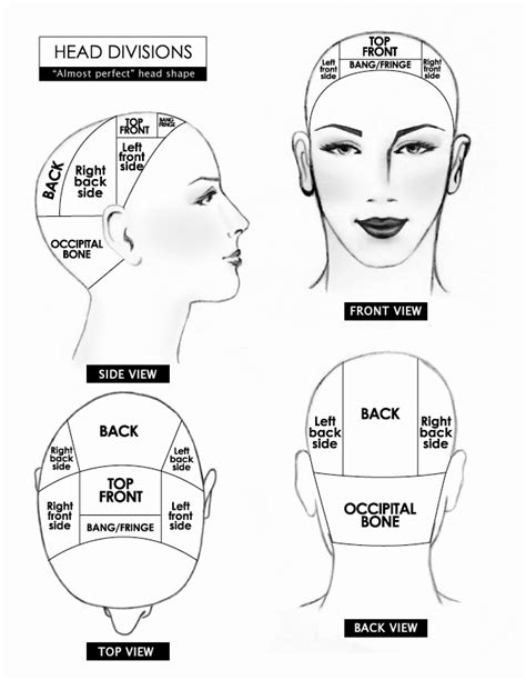 Step By Step Hair Sectioning Diagram