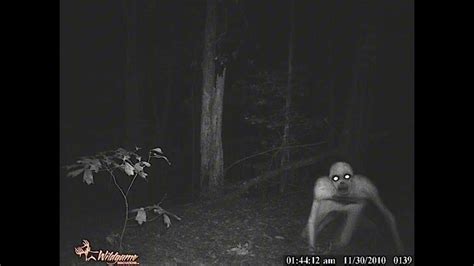 „რეიკი“ დაბრუნდა რა ხდება სოფელ ქაქუთში Youtube