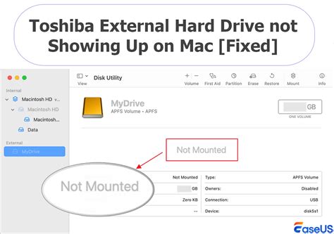 Toshiba External Hard Drive Not Showing Up On Mac Fixed