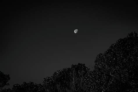 Moon Dusted Photograph By Jeromy Gorman Fine Art America