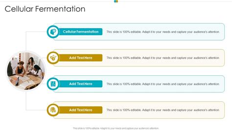 Cellular Fermentation In Powerpoint And Google Slides Cpp PPT Sample