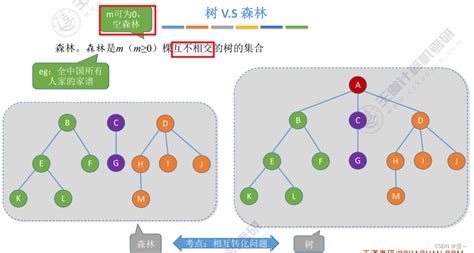 《数据结构》天勤和王道 第五章 树 王道数据结构ppt课件 csdn博客