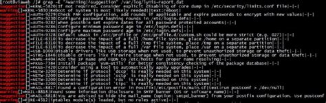 루트킷 rootkit 검사 lynis os 서버호스팅 전문 기업 비아웹 기술블로그