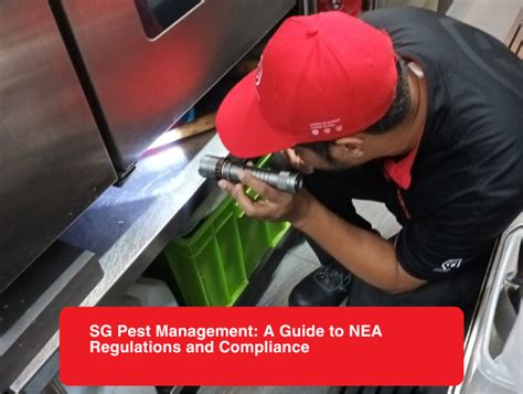 Sg Pest Management Guide To Nea Regulations And Compliance
