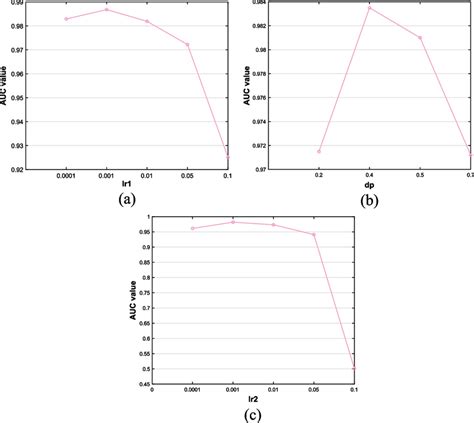 Analysis Of The Impact Of Hyperparameters On Performance Of Gacnnmda