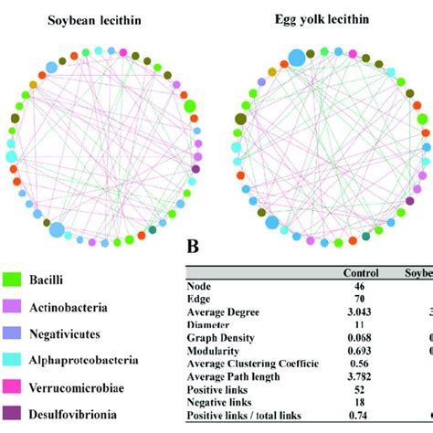 Ecological Interaction Network Analysis Of Gut Microbial Community A Download Scientific