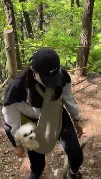 산을 왜 걸어서 올라가 주인한테 안겨서 가야지~🦦 Youtube