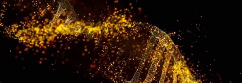 Pin Point Base Editing Platform Revvity