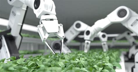 The World Of Robotics Industries Leveraging Robotics Engineers