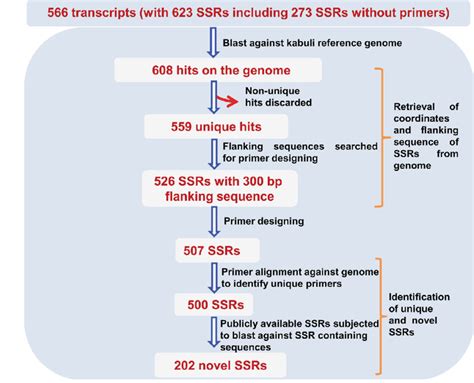 Schematic Workflow Of Identification Of Novel Genic Ssrs The Results