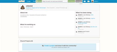 The Most Insane Scratch Username Bypass Rscratchmemes