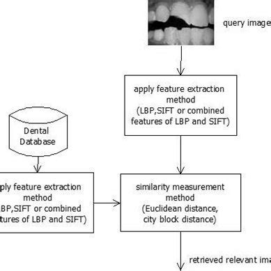 Scale Invariant Feature Transform Download Scientific Diagram