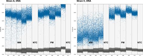 mismatches and the performance of ddpcr fluorescence amplification