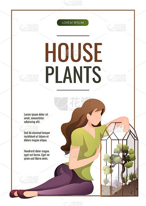 在花坛里种着室内植物的女人。家庭花园，温室，园艺，植物爱好者的概念。