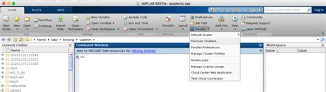 MATLAB Weizmann IT