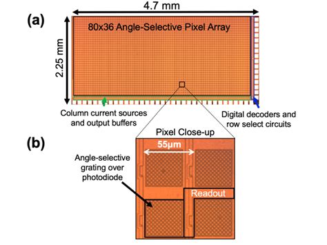 A Die Microphotograph Showing Imaging Array Analog Circuitry Along