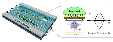 Research Biomedical Microsystems Lab
