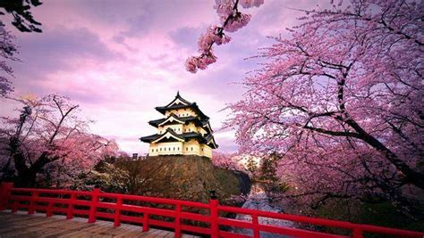 Uzma Bibi Posted On Linkedin