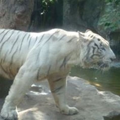 Ricardo Garzon Universidad Antonio Nari O Bogot Research Profile