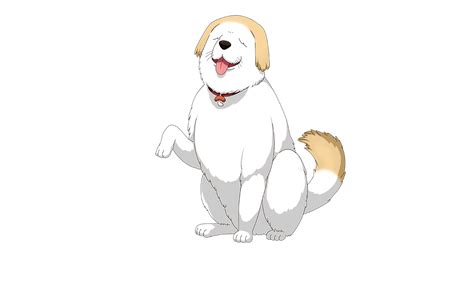 Shiitake Idols List Love Live Idol Story Love Live