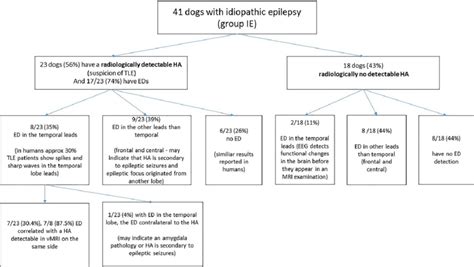 Schematic Representation Of The Electroencephalographic Findings With Download Scientific