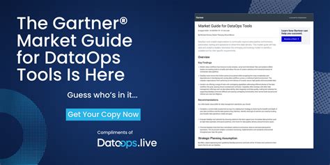 gartner market guide