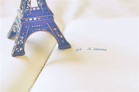 Wonderstruck Accessories Garskin Skin Protector