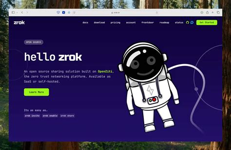 5 Ngrok Alternatives 2025 Blog Localcan™