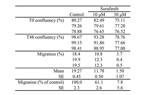 Automating Migration Assay Imaging And Quantification Using An