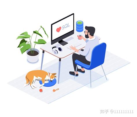 redash和metabase深度比较之一：概述 知乎