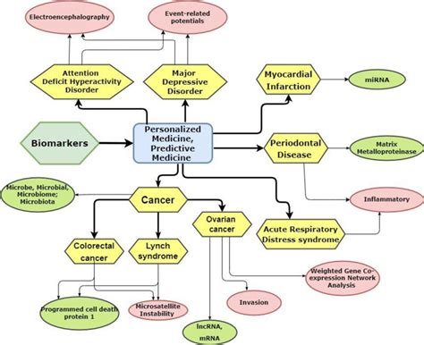 Terminological Map Of The Latest Developments In The Field Of