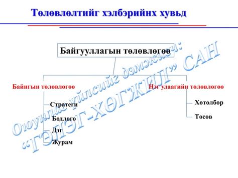 Байгууллага дахь төлөвлөлт төлөвлөлтийн түвшин төлөвлөгөөний ангилал