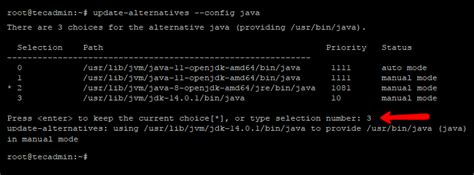 Switch Between Multiple Java Versions HAKAN AYDIN