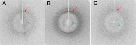 X Ray Fiber Diffraction From Crystallin Fibrils X Ray Fiber