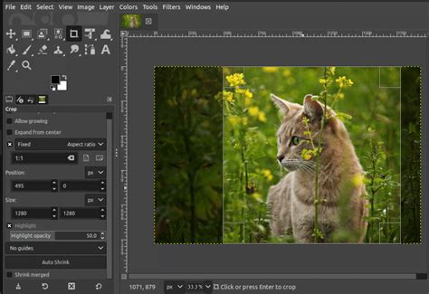 How To Crop An Image In GIMP