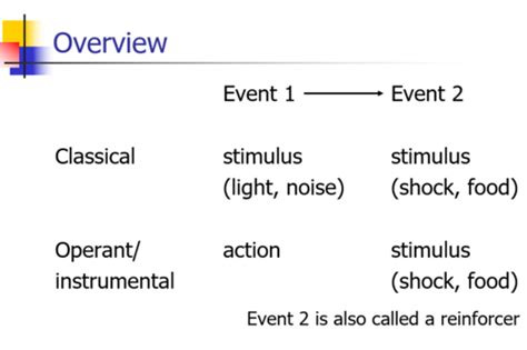 Associative Learning Flashcards Quizlet