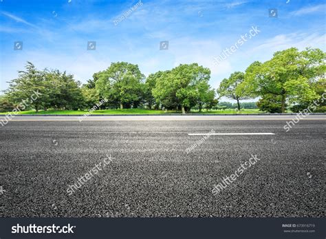 Road Trees Background Images Stock Photos Vectors Shutterstock