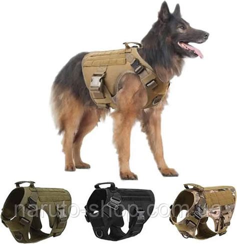 Купить Тактический комплект: Шлейка для собак FEimaX Military Patrol ...