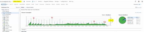 sql pi workload graph of oracle cluster for more than 6 hours isn t