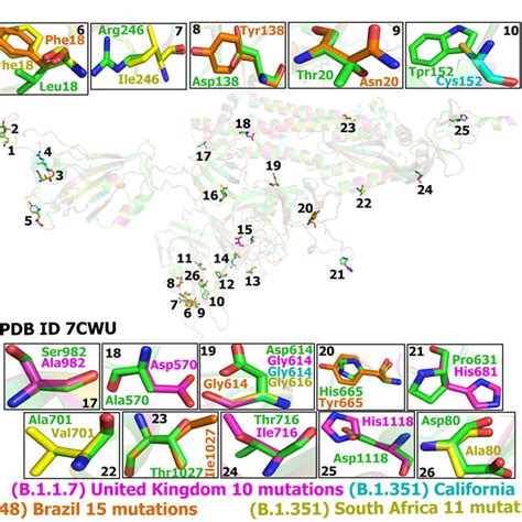 comparison of the rmsd rmsf sasa rg and number of hbs of wt