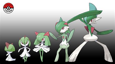 Grafico De Evolucao Do Pokemon Gallade