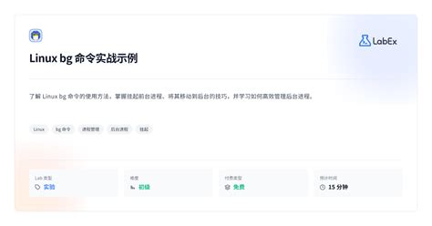 Linux Bg 命令实战示例 进程管理与后台操作 Labex
