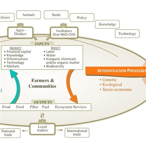 A Sustainable Intensification Approach For Improved Forages To Realize Download Scientific