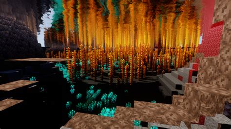 Reverse World для Майнкрафт 1 16 5