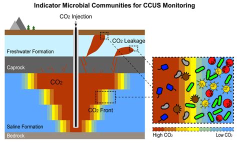 Schematic Illustration Of The Use Of Indicator Microbial Communities As
