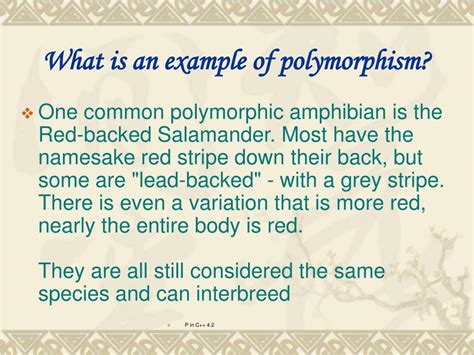 Ppt Polymorphism In C Powerpoint Presentation Free Download Id